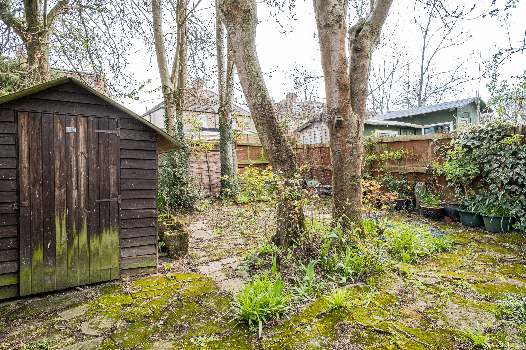 Brook Drive, Harrow - Brian Cox