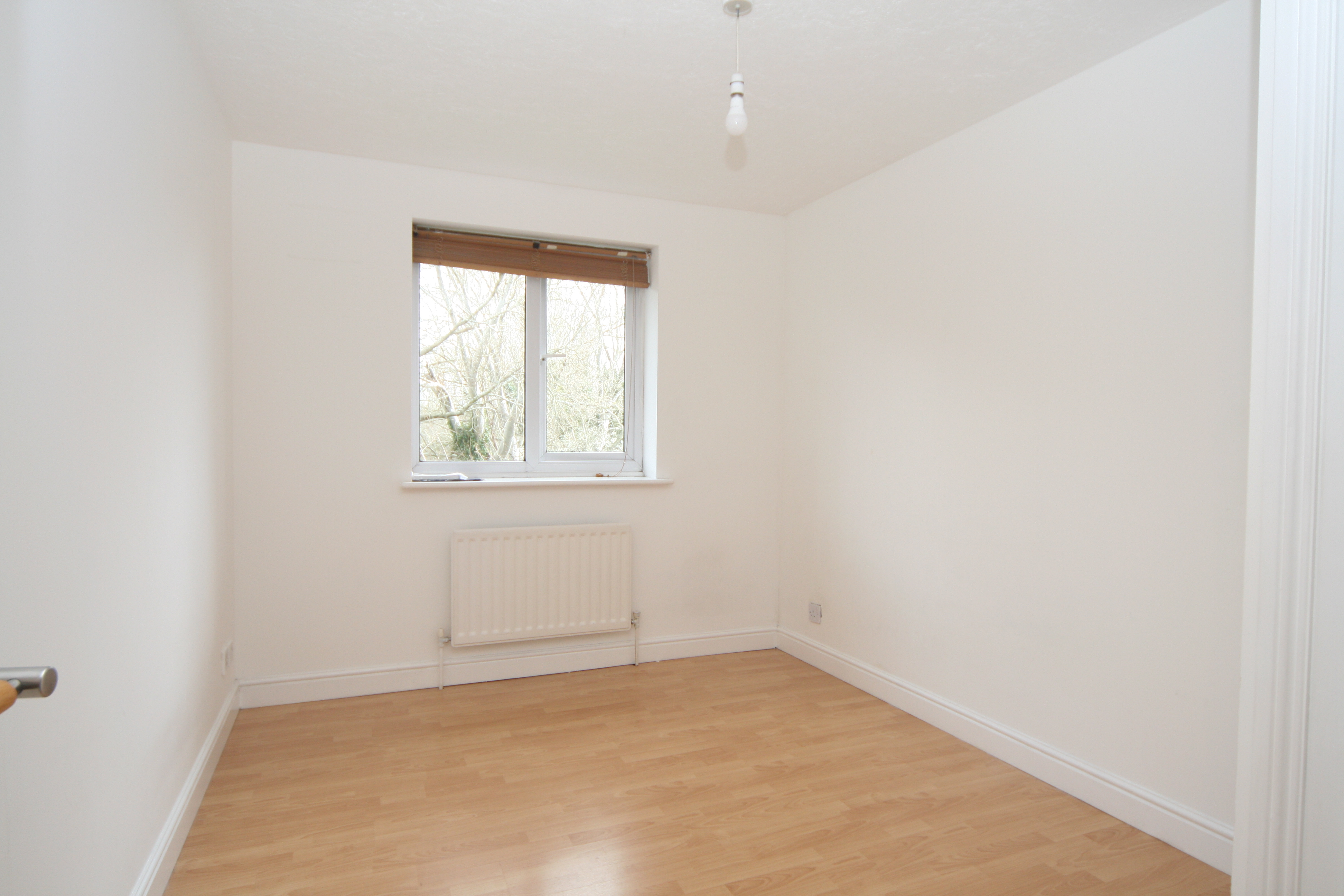 Acer Avenue, Hayes - Brian Cox